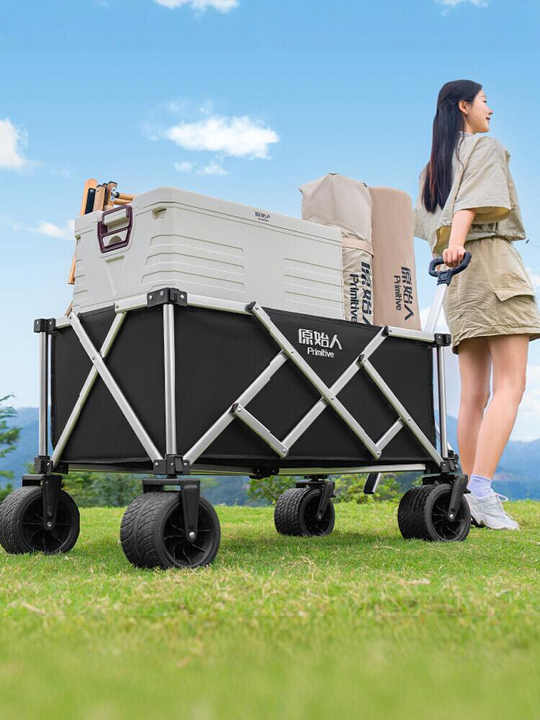 Primitive Aluminium AlloyFolding Picnic Trailer for Outdoor Camping ...