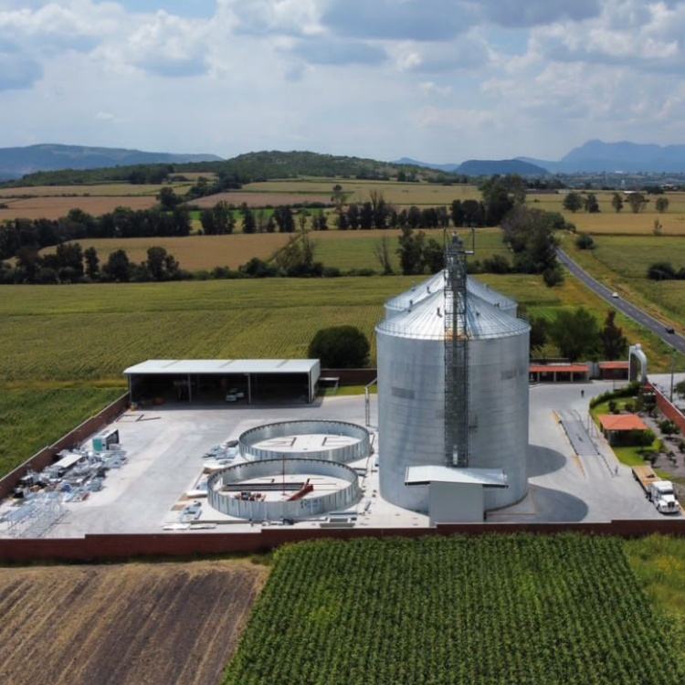 Sorghum Paddy Rice Millet Storage Silo Beans Peanut Steel Grain Silos ...