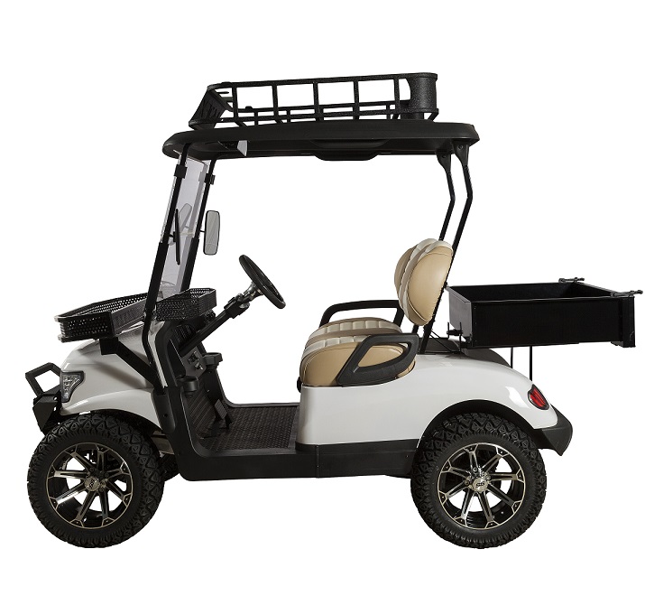 Shop Online Beach Buggy Price Hub Motor & Lithium Battery | Alibaba.com