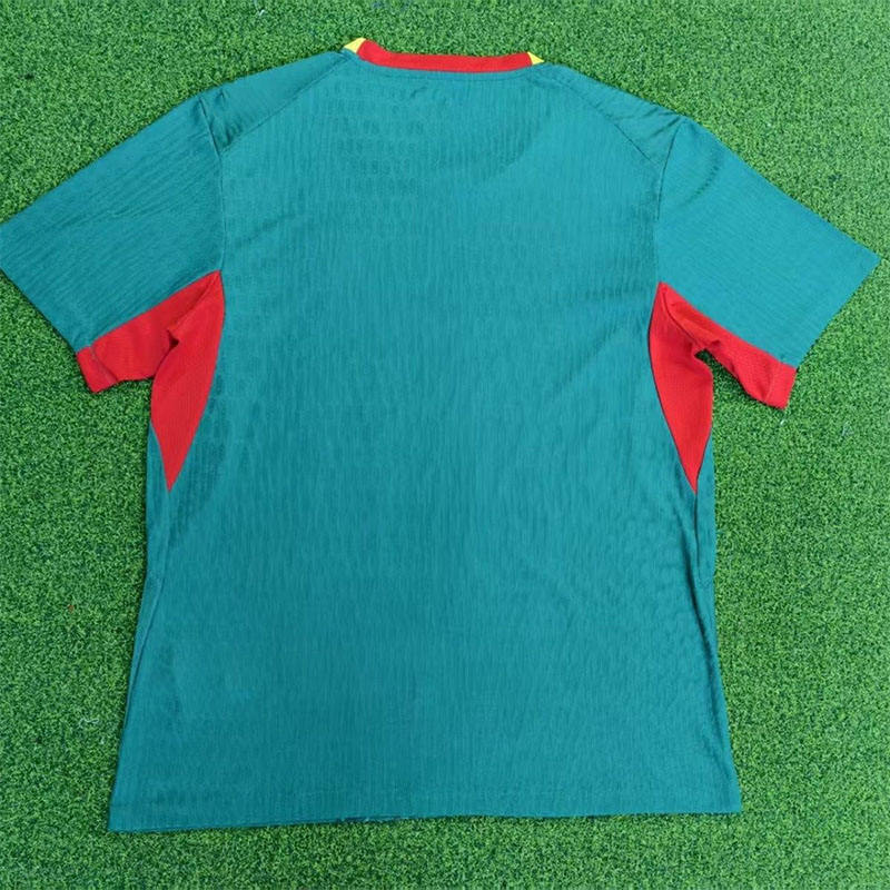 Senegal National Football Team Quick Drying Jersey 2526 Fan Version ...