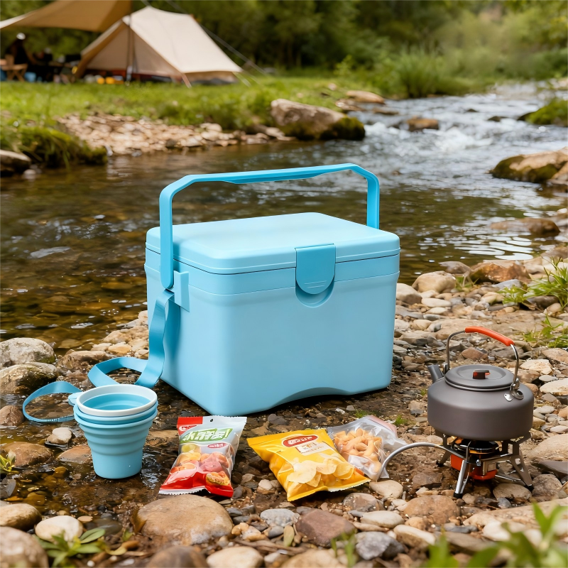 Large 10L Plastic Insulated Cooler Box for Fishing Outdoor Activities ...