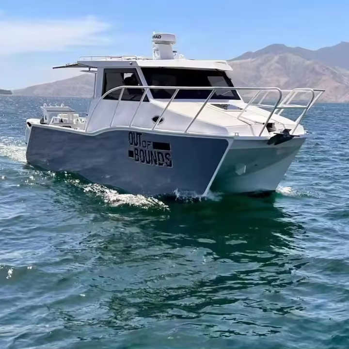 26ft 7.9m 26ft Catamaran Welded Aluminum Fishing Power Boat Cruiser ...