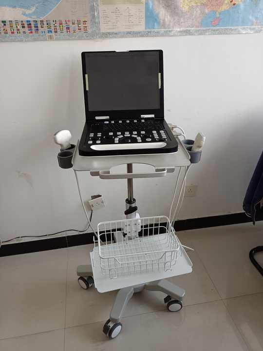 M9 Vet Professional Portable Ultrasound Color Doppler Ultrasound ...