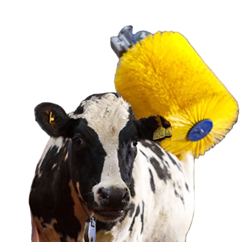 Promoción spanish, Compras online de spanish promocionales, cepillo de ...