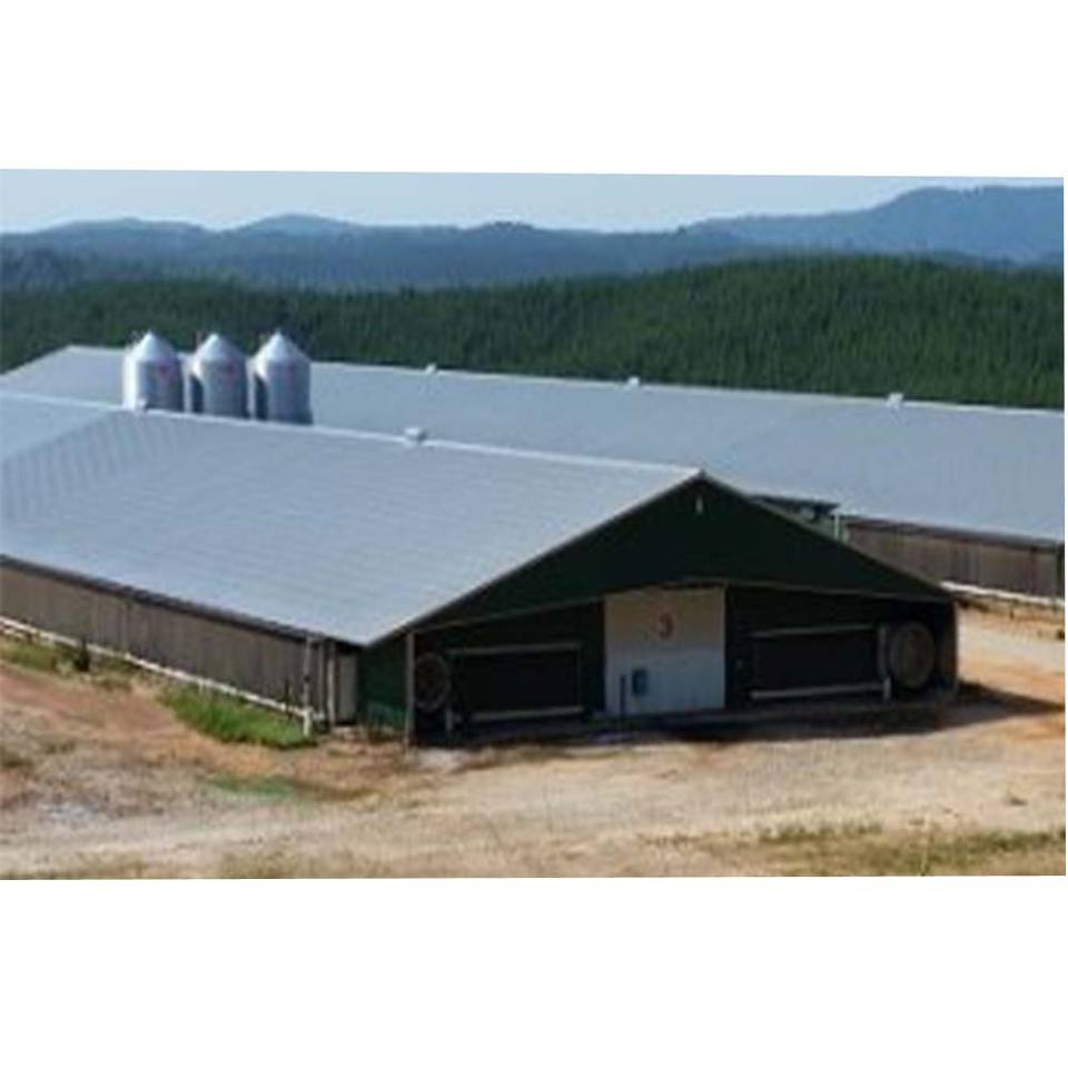 Prefab Environmental Control Poultry Farm Steel Structure