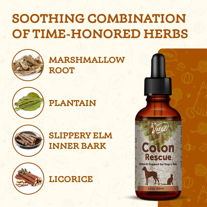 Animal Essentials Colon Rescue Drops for Dogs Cats-Constipation Relief ...