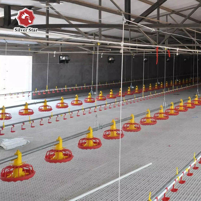 High Quality New Automatic Broiler Feeding Line for Chicken Poultry ...