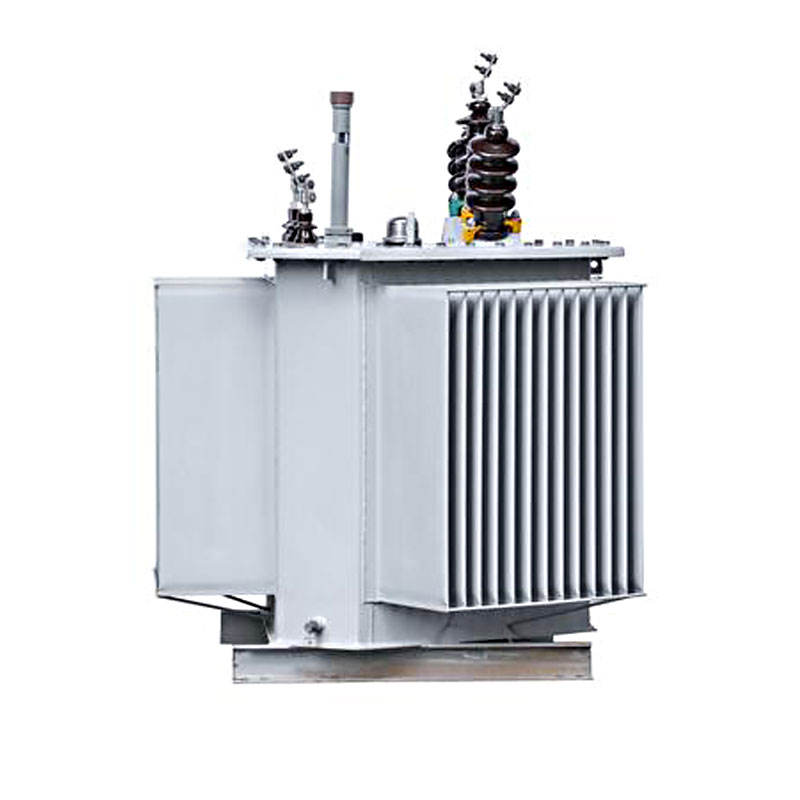 1000 KVA Three Phase Oil-Immersed Distribution Transformer 10KV 220V ...