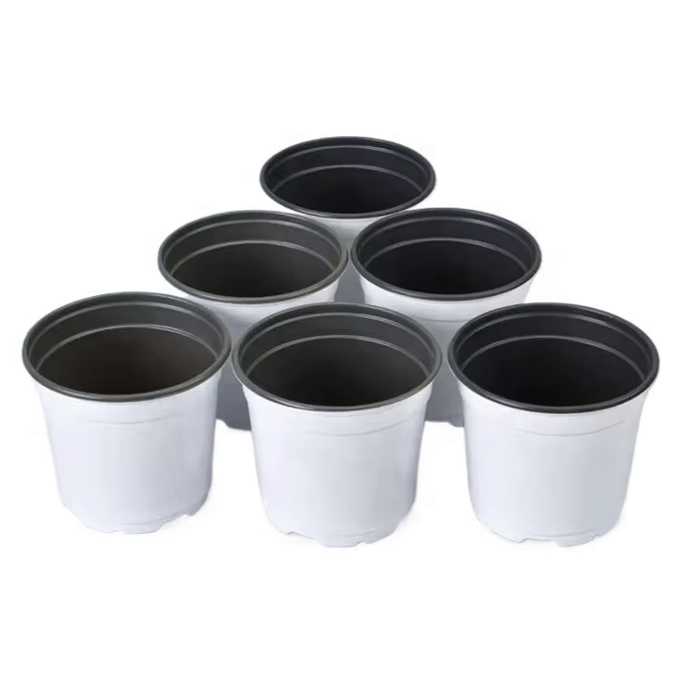 How to Choose the Best Coffee Sapling Planter for Healthy Growth