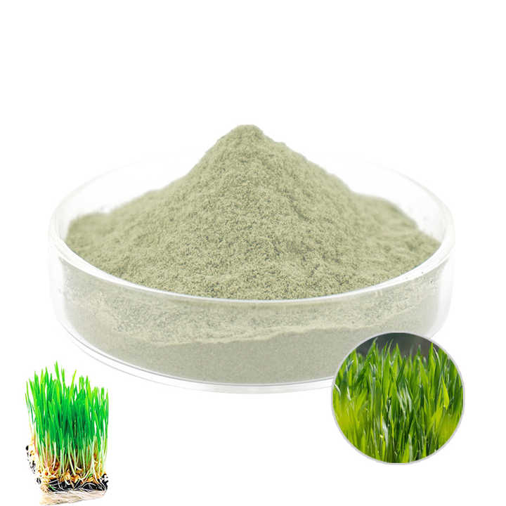Best Price Super Greens Powder Wheat Grass Powder| Alibaba.com