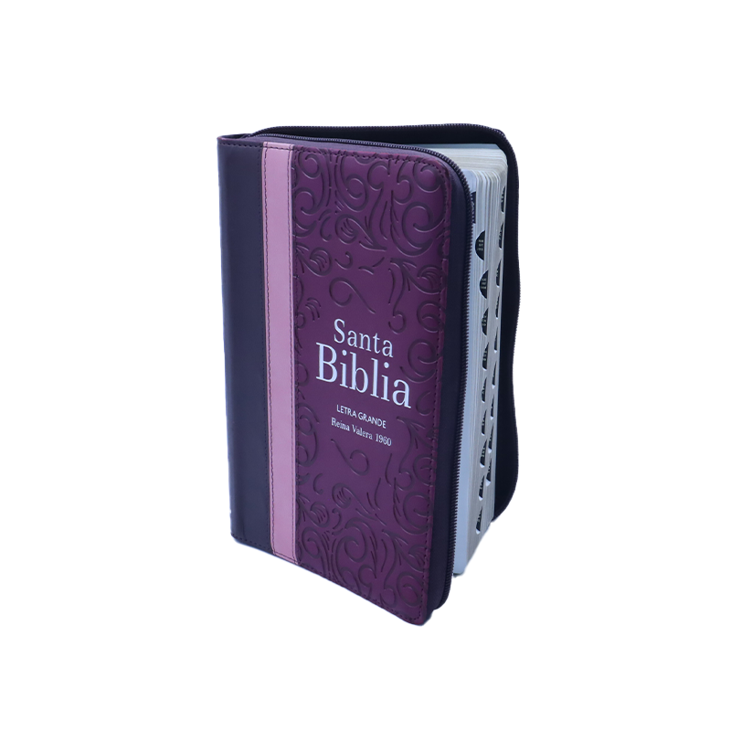 Holy Bible NLT Version With Concordance and Maps Study Bible for ...
