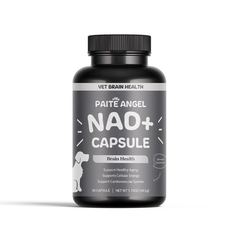 Cognitive Decline Prevention DNA Repair Support Capsules for Dogs
