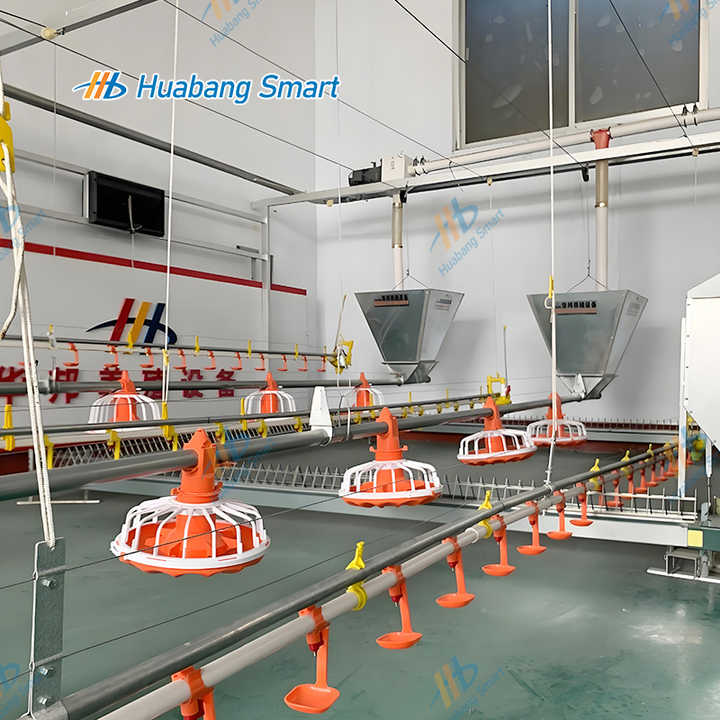 High Quality Low Cost Poultry Farm Chicken Broiler Chicken Automatic Equipment Pan Feeders ...