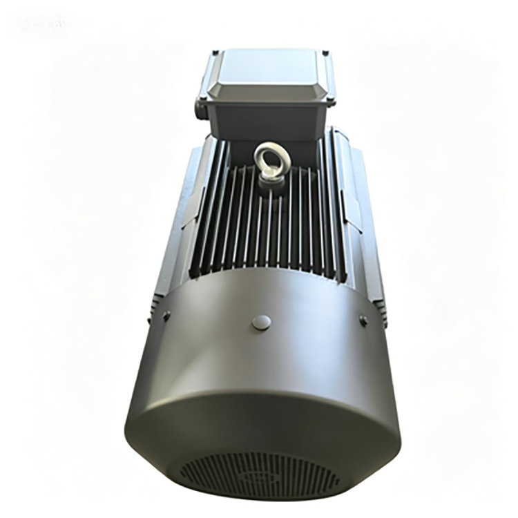 Y2 Series High Voltage Three-phase Induction Motor for Use in Fans ...