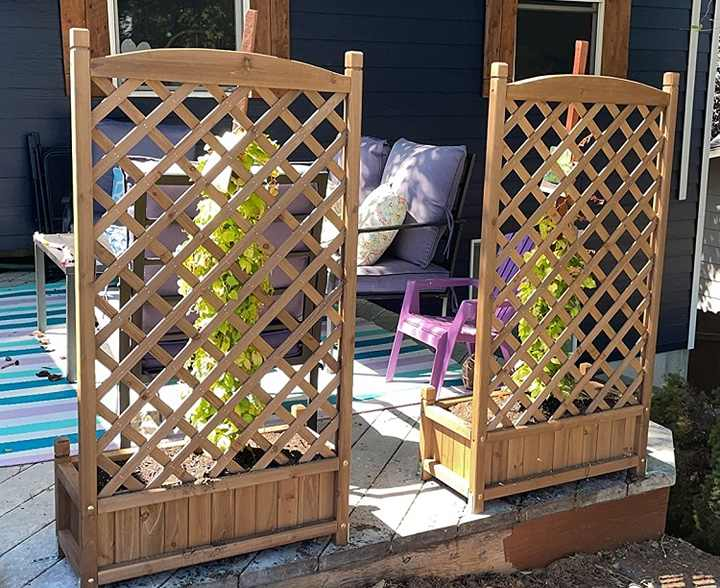 How to Choose the Best Trellis Portable for Your Needs