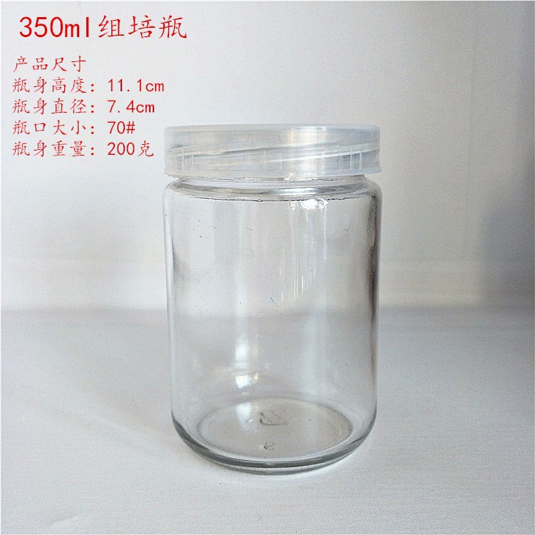 How to Choose the Best Plant Tissue Culture Cup: A Complete Buyer's Guide