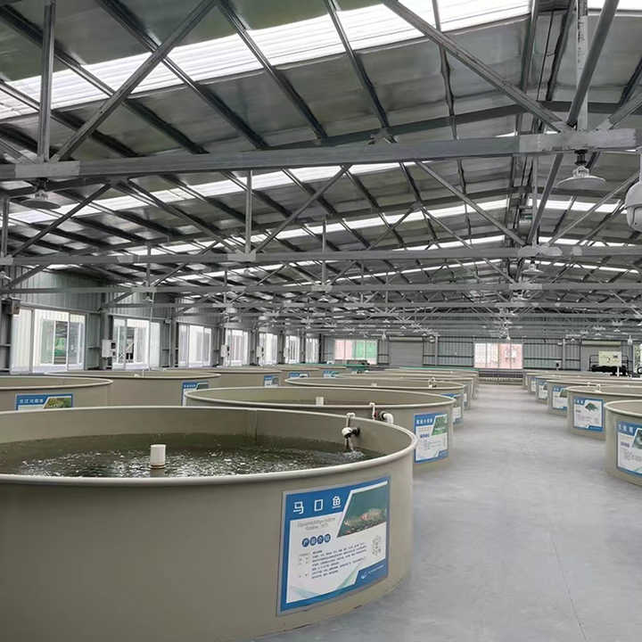 Modern Fish Farming with RAS Systems - Efficient & Sustainable