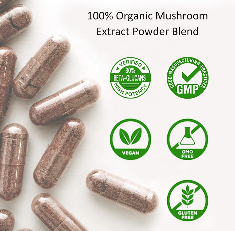 How to Choose Organic Mushrooms Powder: A Complete Buying Guide