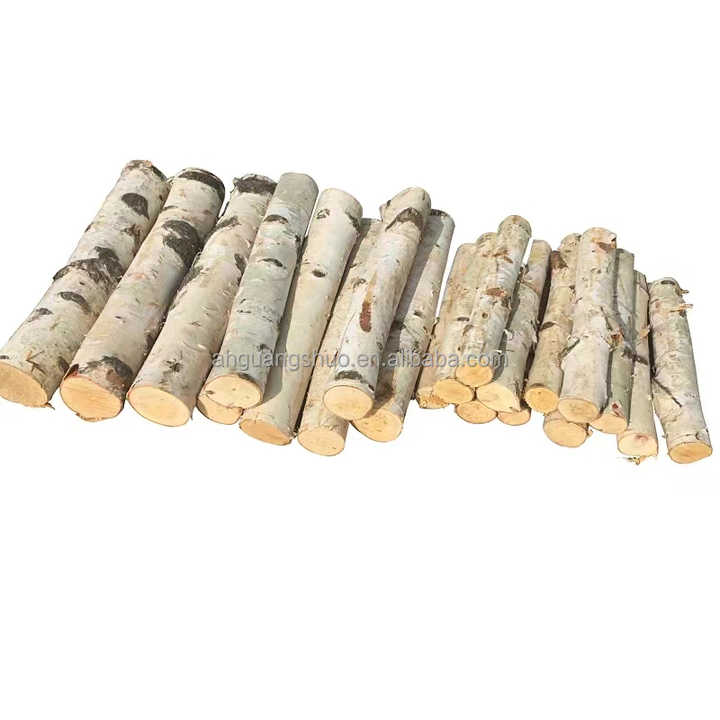 6 Pack Small Birch Logs for Fireplace Unfinished Wood Crafts DIY Home ...