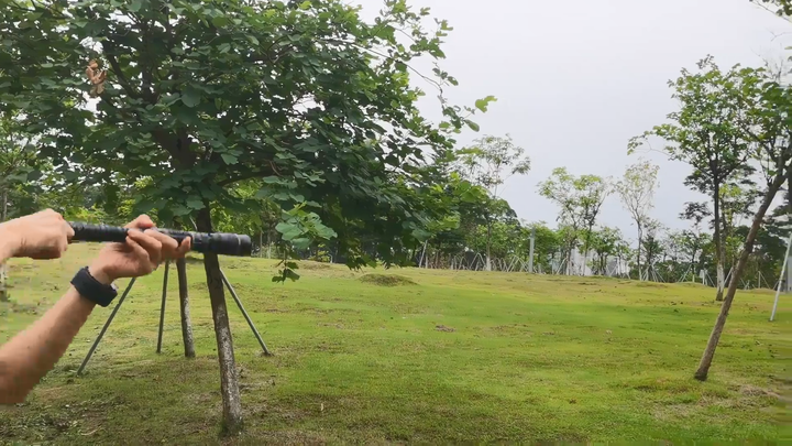 Portable Laser Bird Repelling Flashlight - Effective Control