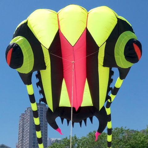 Giant Flying Inflatable Dragon Kite from Chinese Factory