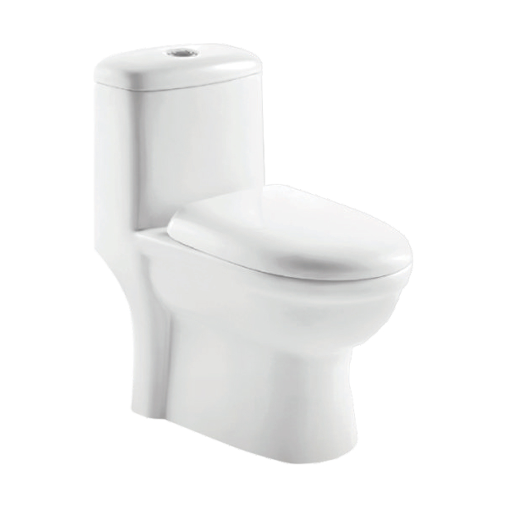 Vitreous China Water Closets - Premium Sanitary Ware