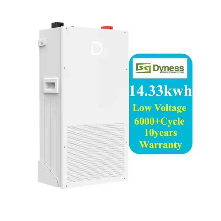 Dyness Power Brick 15kwh 48v 300ah Lithium Battery Home Power Box ...