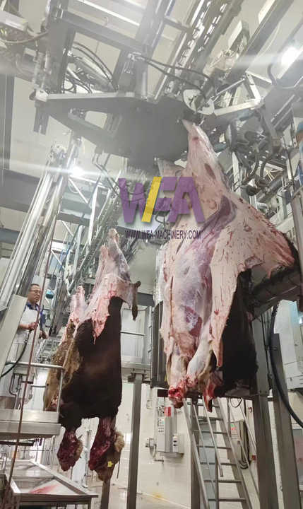 WFA Commercial Abattoir Plant - Efficient Halal Meat Processing