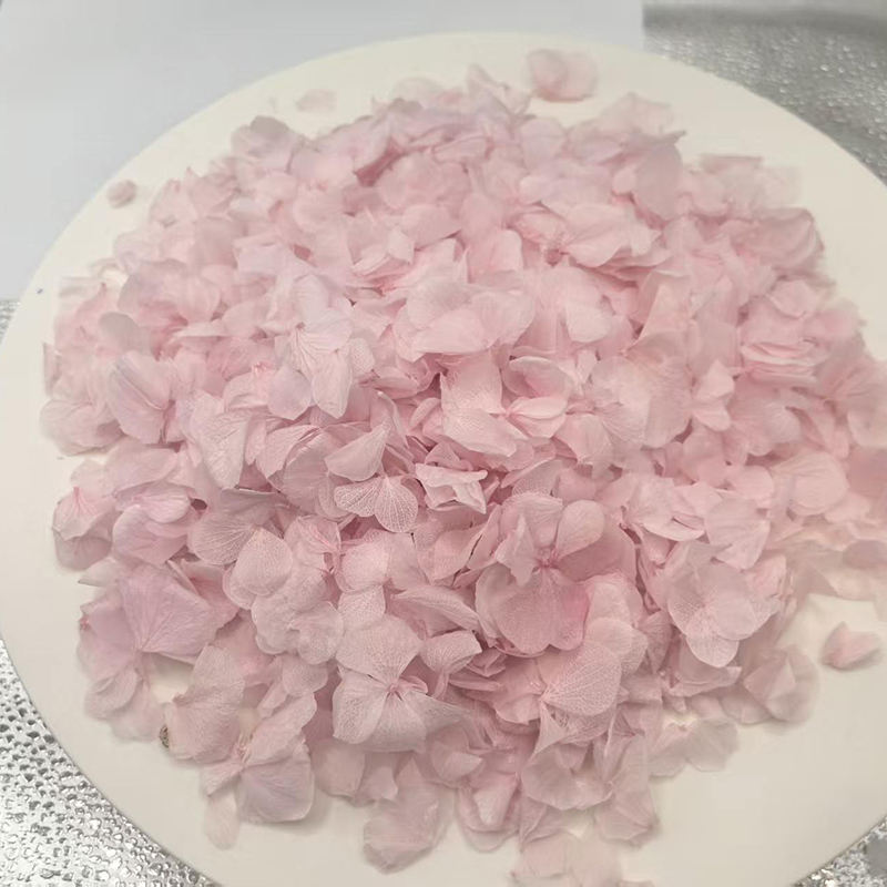 100% Biodegradable Eco-friendly Wedding Confetti Beautiful Real Dried ...