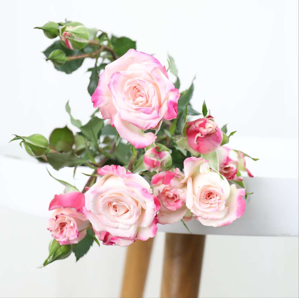 Multi-Headed Rose in Refraction Elegant Flower Accent| Alibaba.com