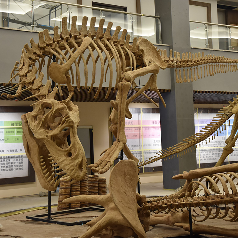 Artificial Dinosaur Fossil Replicas - Dinosky Creations