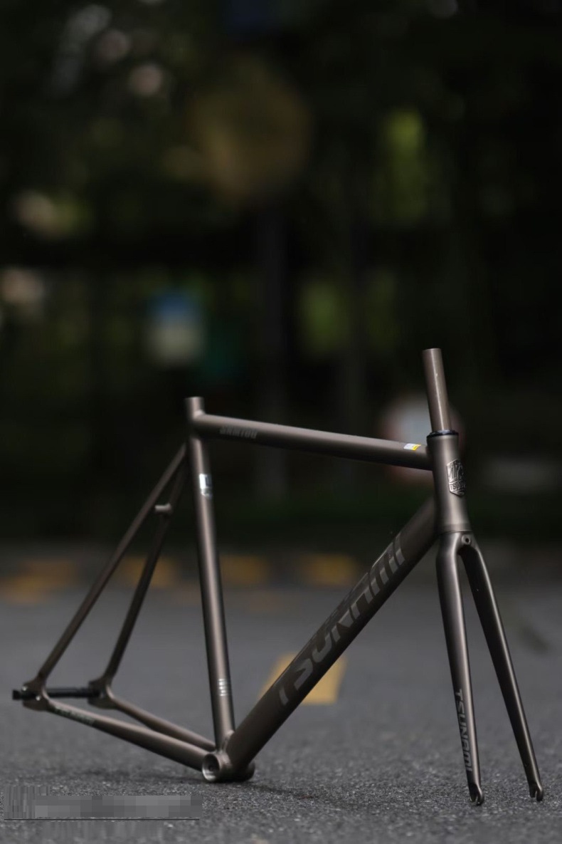 How to Choose the Best Tsunami SNM100 Frame for Your Project