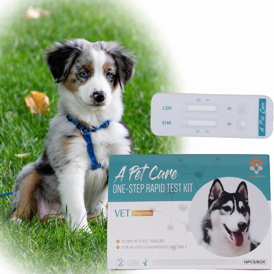 Rapid Cpv/cdv Ag Test Kit Rapid Test Kit Veterinary 8 Test Kits Cpv/cdv ...