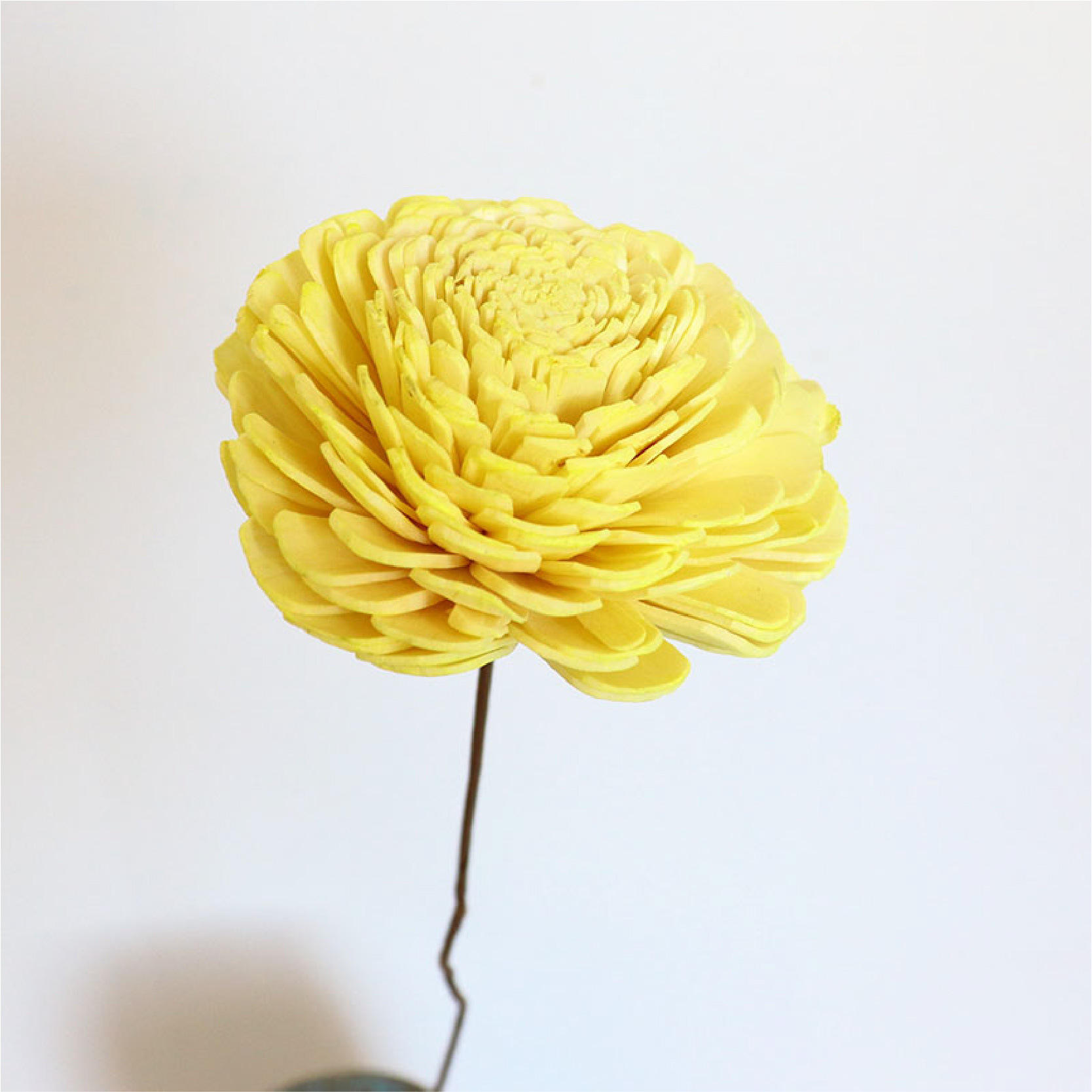 How to Choose the Best Flower Sticks Sola for Your Craft Projects
