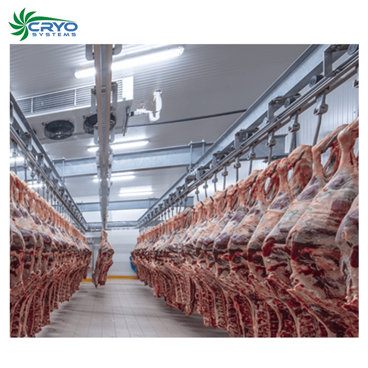 beef walk in freezer cold room freezer storage butcher freezer room ...