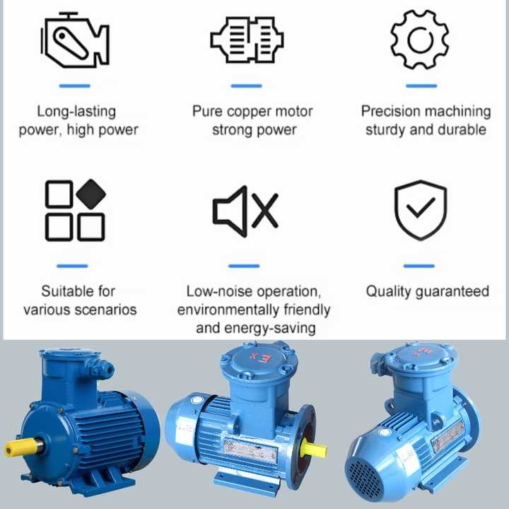 3 Phase Induction Motor YBX4 Series High protection Level Explosion ...