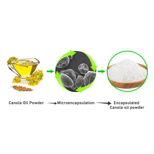 Find Non-GMO, High-Yield and Organic Canola Seed - Alibaba.com