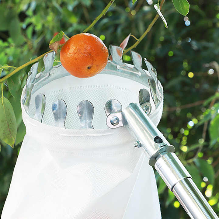 Fruit Picker Metal Basket With Stainless Steel Pole Stick Fruit Picker ...