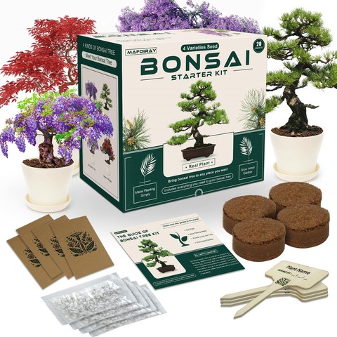 Bonsai Garden, Bonsai Garden direct from Plant Fun ( Xiamen) Co., Ltd ...