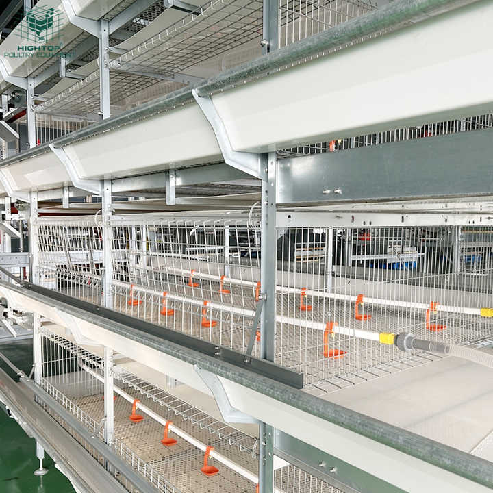 Automated Broiler Chicken Cage Equipment - H Type