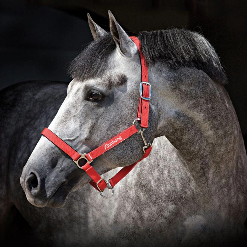 How to Choose the Best Custom Nylon Horse Headstall for Your Riding Needs