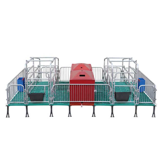Pig Farrowing Pen Designs - Durable Sow Crates from Baojieyuan