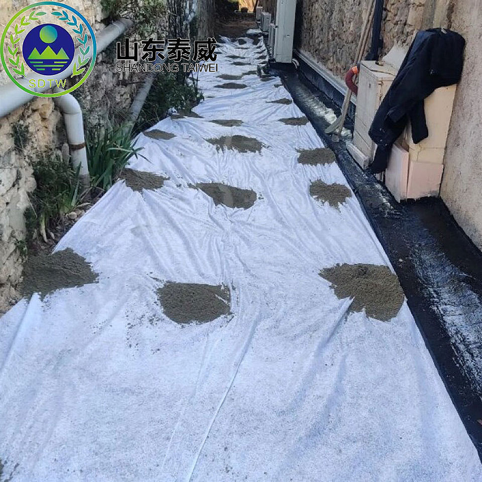 Nonwoven Geotextile Filament Geotextile High-Performance Material Anti ...