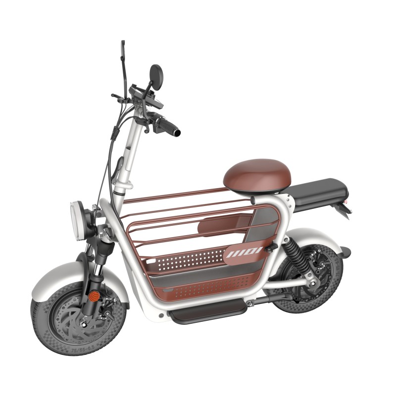 Scooter Carriers - Durable, Efficient, and Versatile