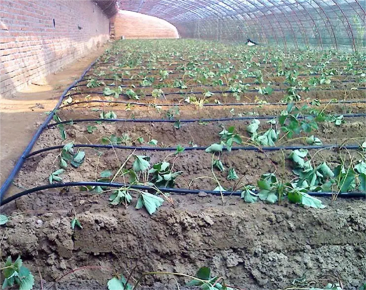 1 Hectare Drip Irrigation System - Efficient Agricultural Irrigation