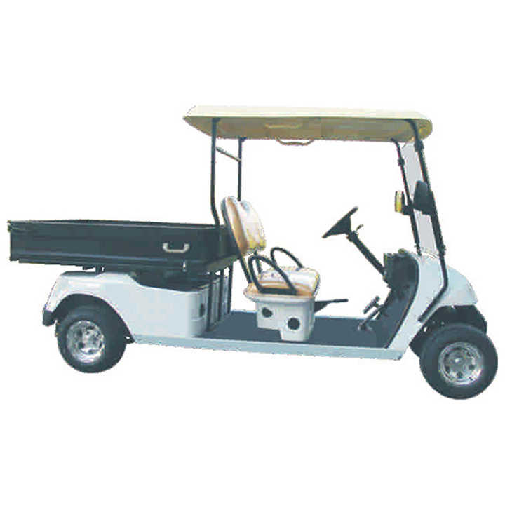 EG 2025 Best Selling Fancy Price Lsv Electric Golf Cart Golf Carts ...