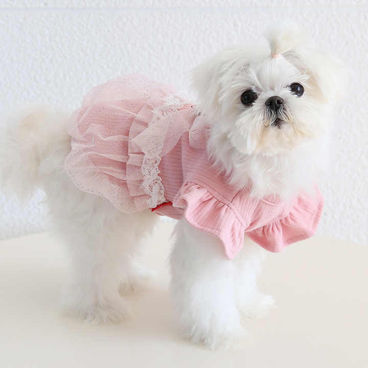Princess Dog Clothes Glitter Ballet Sister dress 2025 Spring and summer ...
