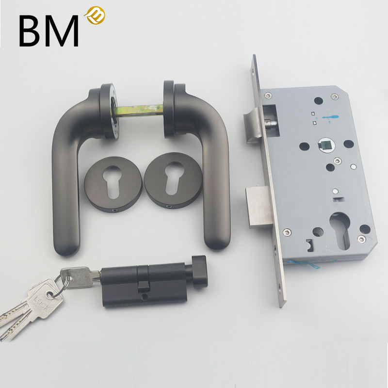 Latest Design Modern House Door Decoration Door Room Door Handle Lock