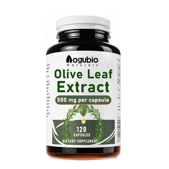 Premium Olive Leaf Extract Capsules | Vegetarian Formula | Bottle/Jar ...