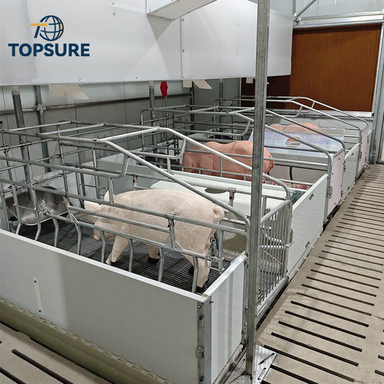 Weather-resistant Professional Animal Husbandry Equipment Sow Delivery ...